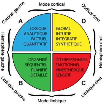 E-learning : apprenez à connaître vos apprenants